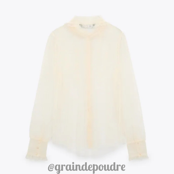 Zara | Tops | Zara Ivory Tulle Semi Sheer Polka Dot Blouse S | Poshmark